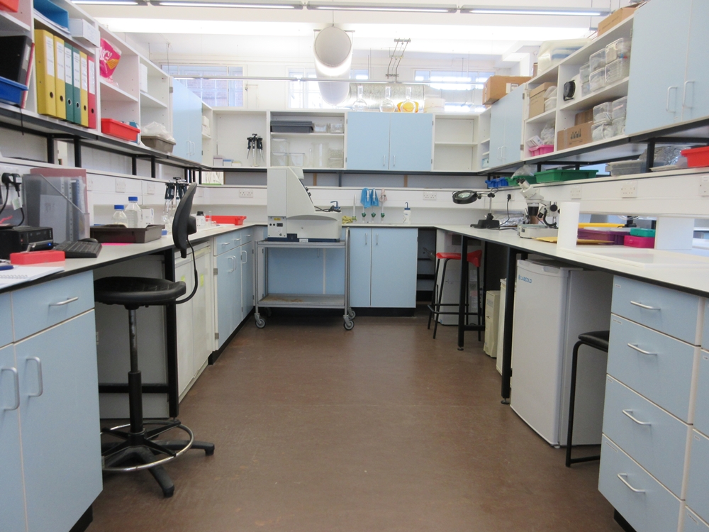 Dyson Perrins Building | Access Guide