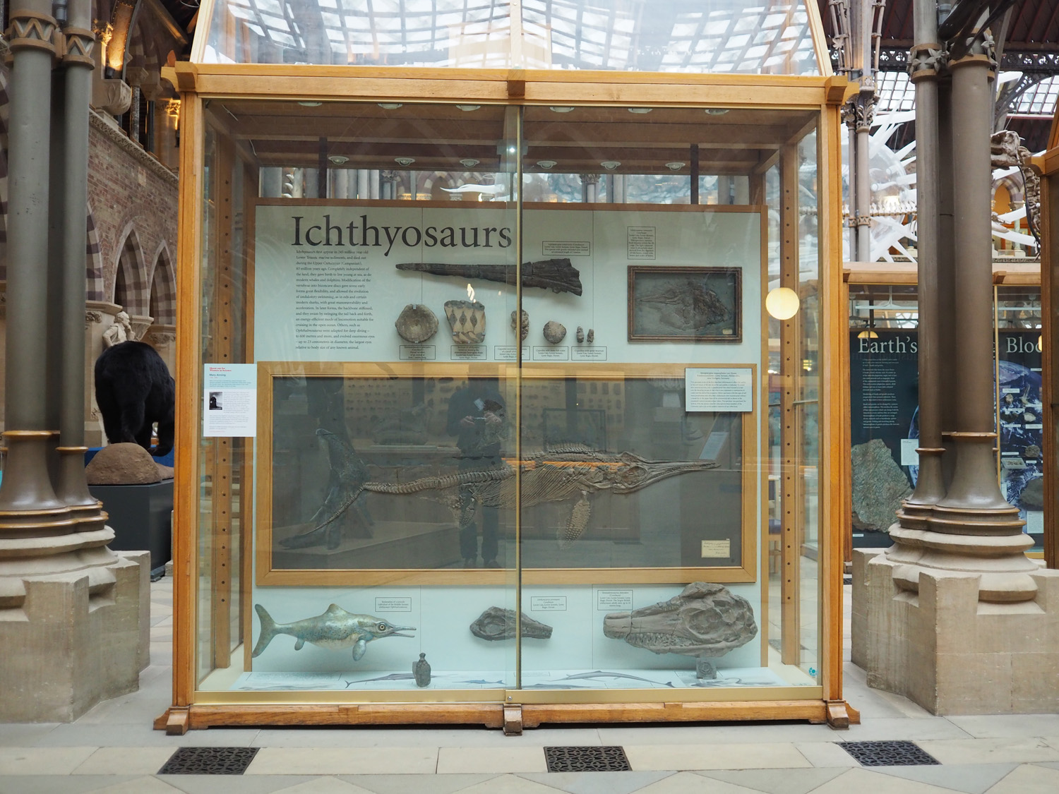 Oxford University Museum of Natural History | Access Guide