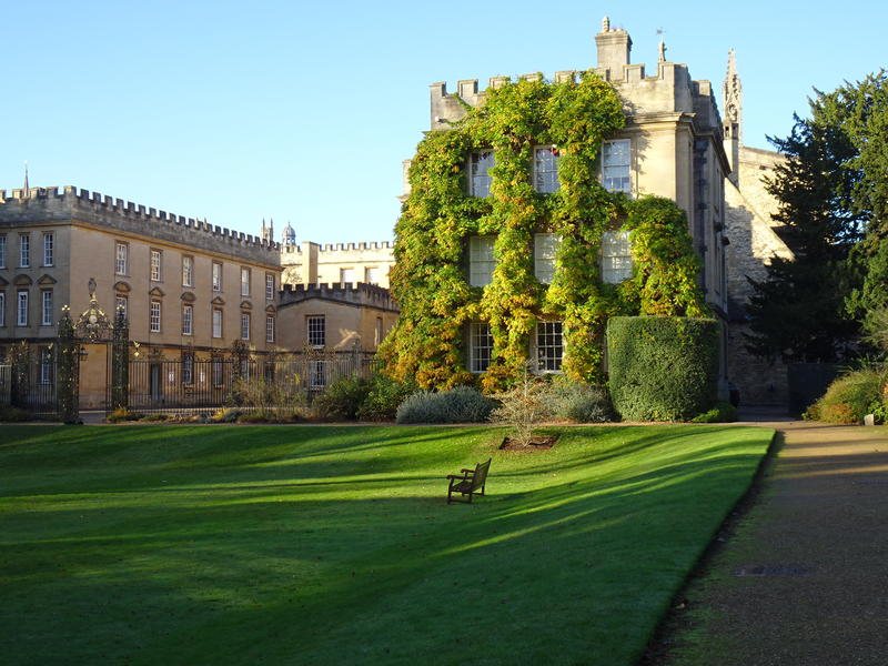 New College | Access Guide